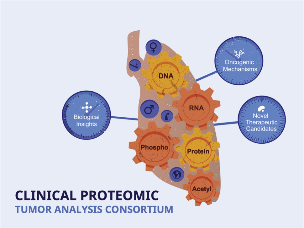 Wielding The Proteomic Tools Nci